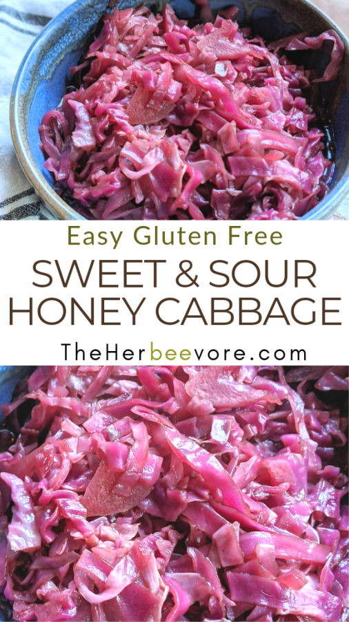 Sweet and Sour Red Cabbage Recipe (Vegetarian)