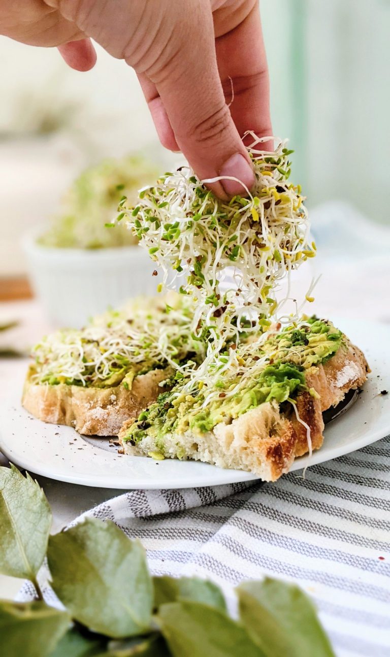 Avocado Toast with Sprouts Recipe - The Herbeevore