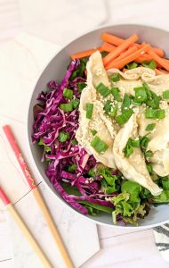 Easy Potsticker Salad Recipe - The Herbeevore