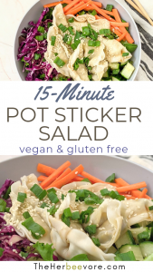 Pot Sticker Salad Recipe (Vegan, Vegetarian, Gluten Free Options)