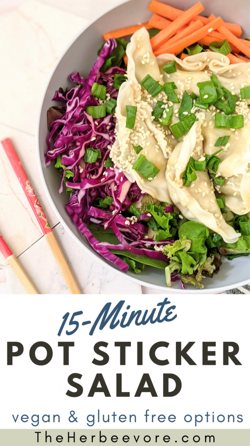 Easy Potsticker Salad Recipe - The Herbeevore