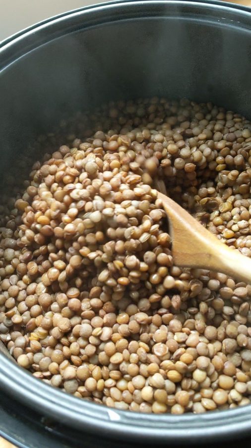 How to Cook Lentils in a Rice Cooker Recipe - The Herbeevore