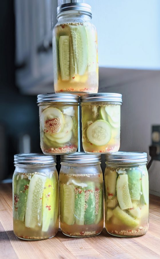 Fresh Pickles Without Dill Recipe - The Herbeevore