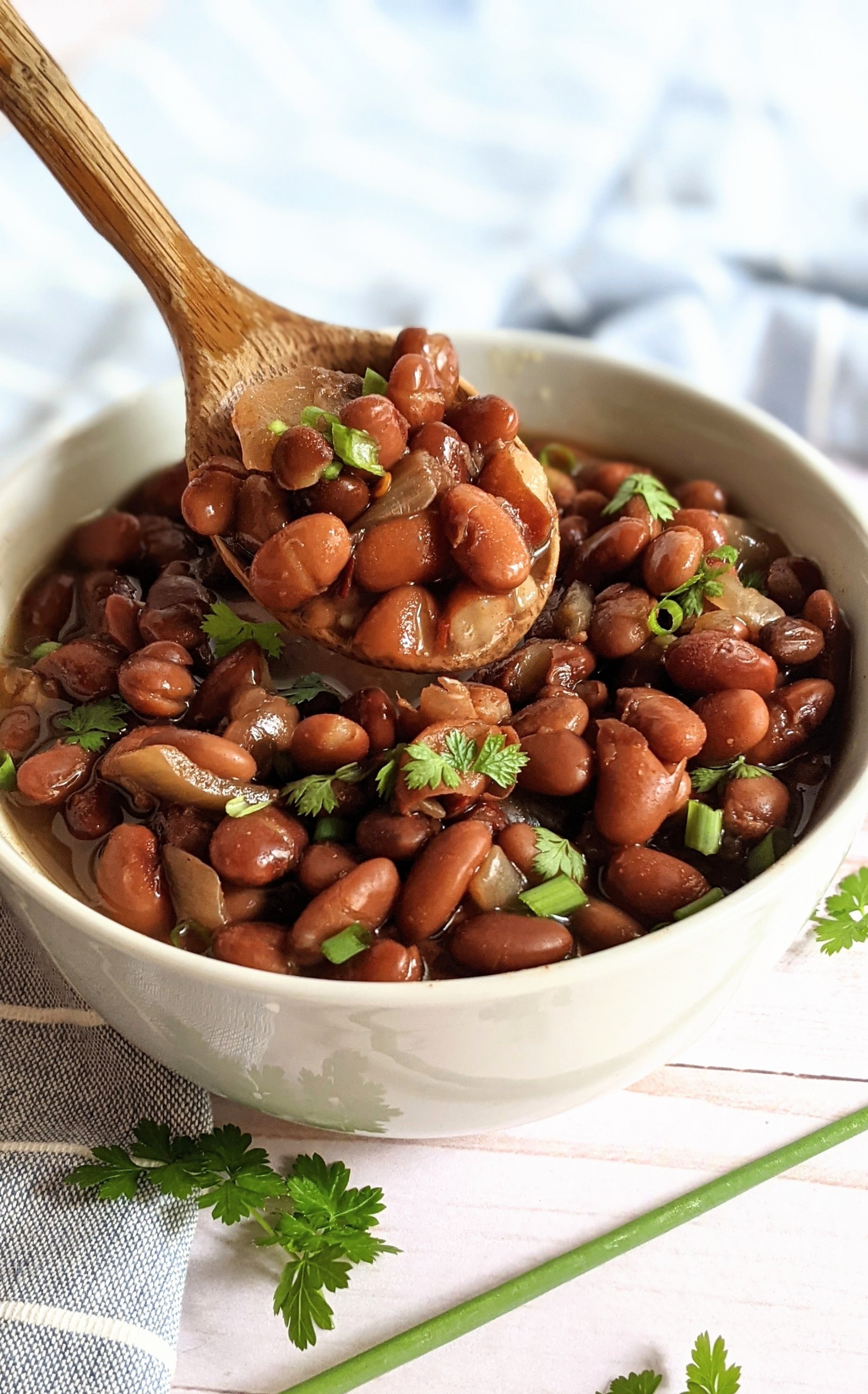 Pinto Beans Instant Pot Recipe No Soak The Herbeevore Pinto Beans Instant Pot Recipe No Soak The Herbeevore