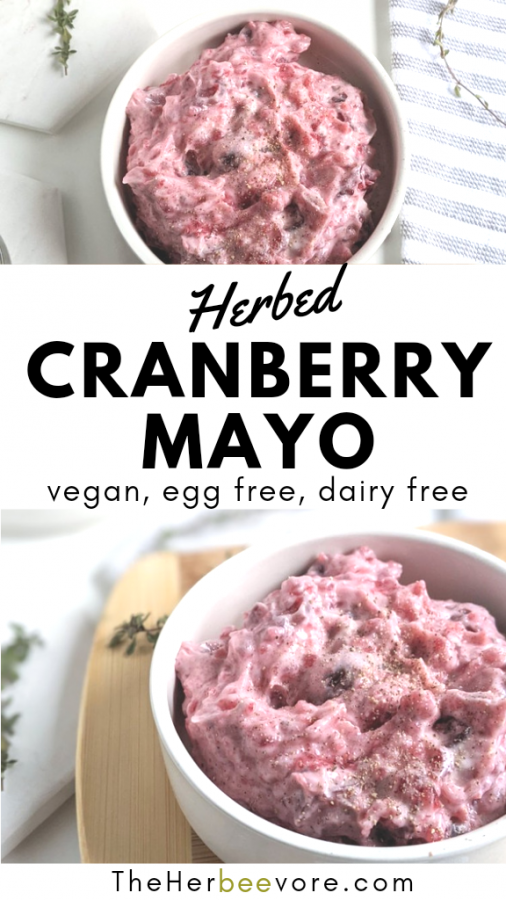 Cranberry Mayo Spread Recipe (Vegan, Gluten Free)
