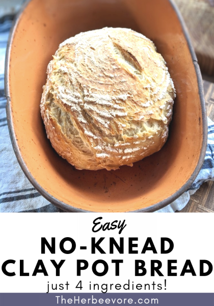 Clay Pot Bread Recipe (No Knead) - The Herbeevore