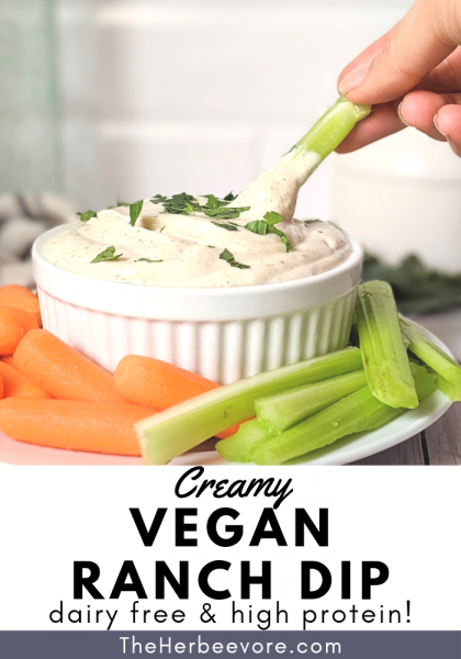 Non Dairy Ranch Dressing Recipe (Vegan & Gluten Free)