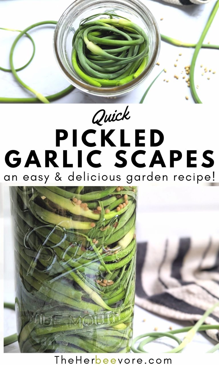 Quick Pickled Garlic Scapes Recipe - The Herbeevore