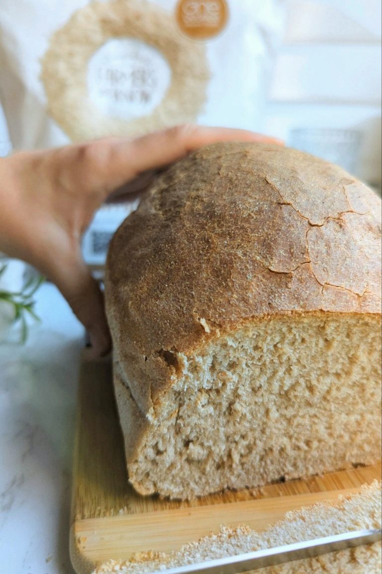 Sprouted Wheat Bread Recipe (Vegan, Organic)