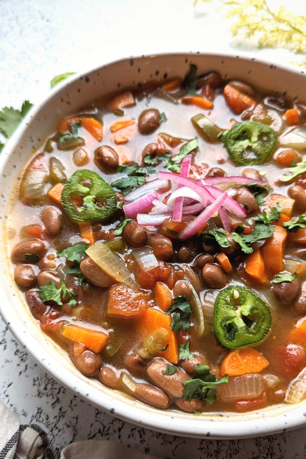 Pinto Bean Soup Recipe (Vegan/Vegetarian) - The Herbeevore