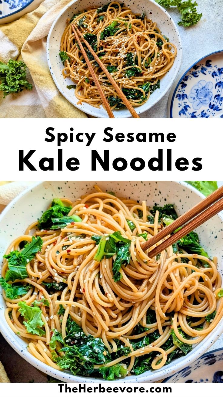 Spicy Sesame Kale Noodles Recipe (15-Minute Lunch!) - The Herbeevore
